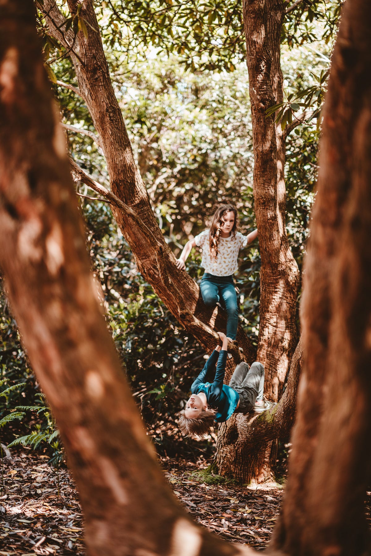 “The Unbreakable Thread: Exploring the Depth of Sibling Love” | by ...