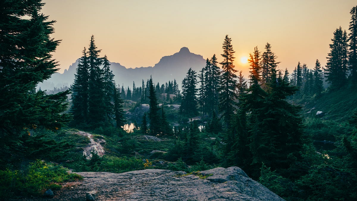 How To Check A Selected Image S Width And Height With Javascript By John Au Yeung