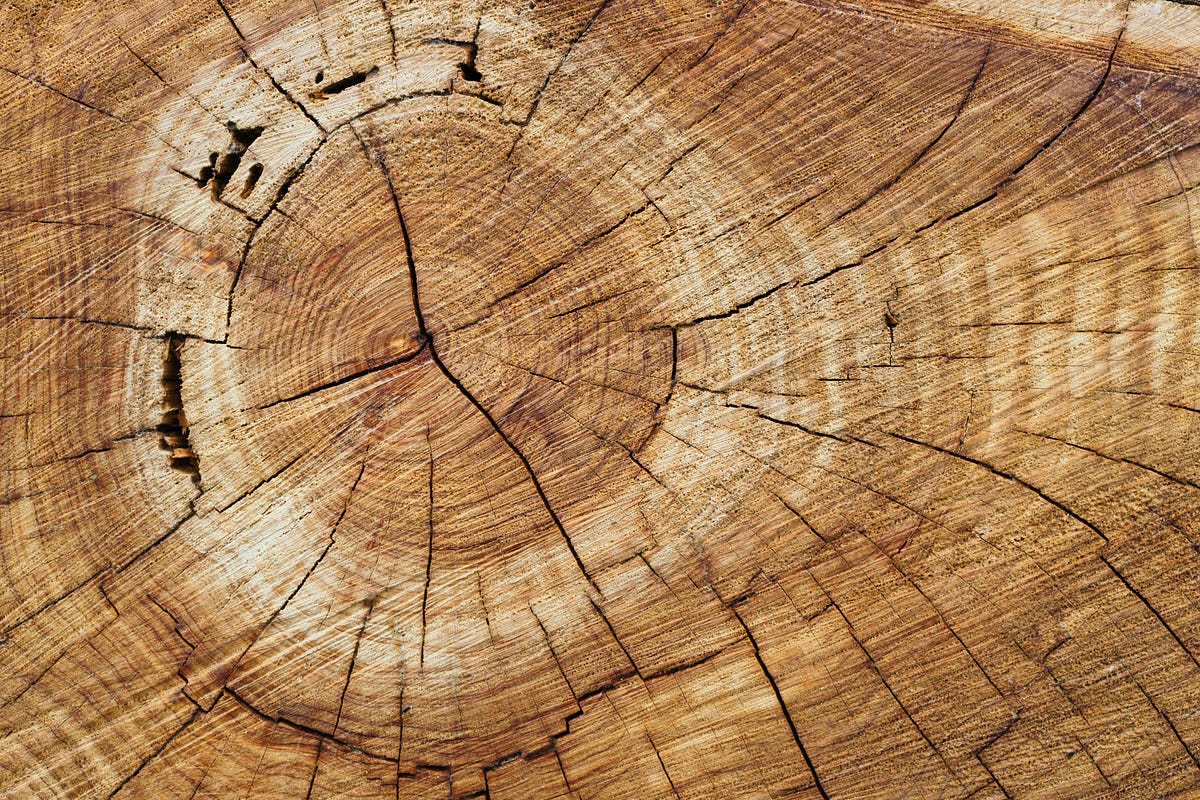 Got Wood. Geoff Forest was frightened of timber… | by Scott Hoffman ...