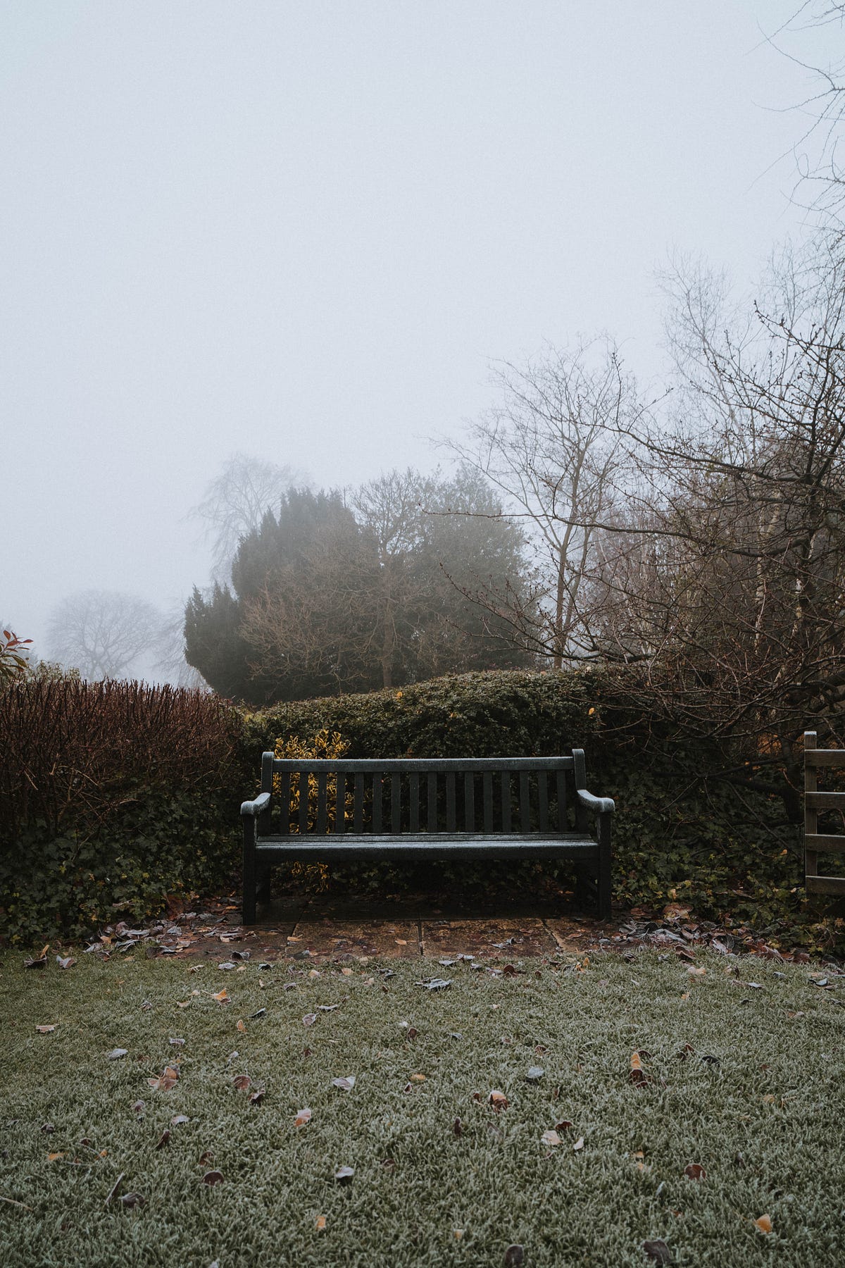 The Fire and the Rose: Part 4. Thousand-year-old boy, strange… | by ...