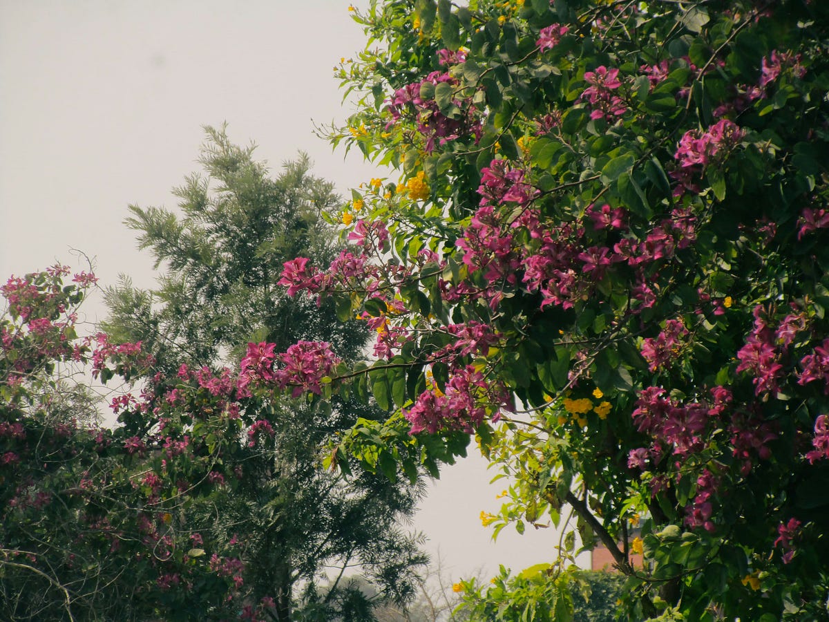 You Are Still Worthy of Love, Even When You Forget Yourself | by Moeez ...