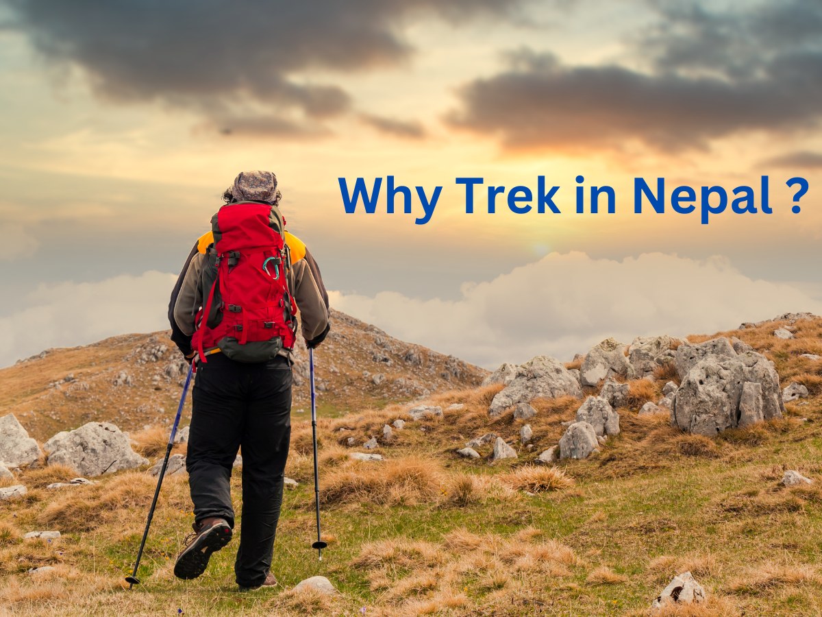 Navigating Nepal’s Trekking Wonders: Guide to High-Altitude Adventures ...