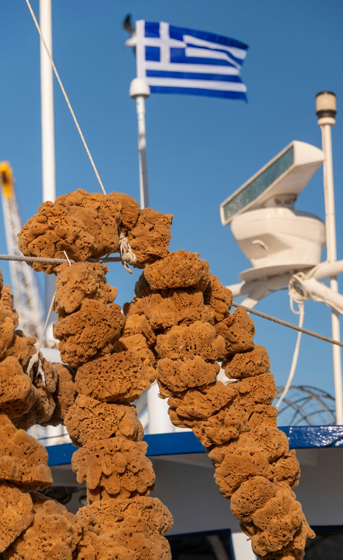 Becoming American. As a third-generation Greek American… | by Anthony ...