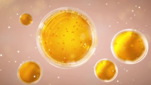 fat cell and Macrophage, field of fat cells, High quality 3d render of ...