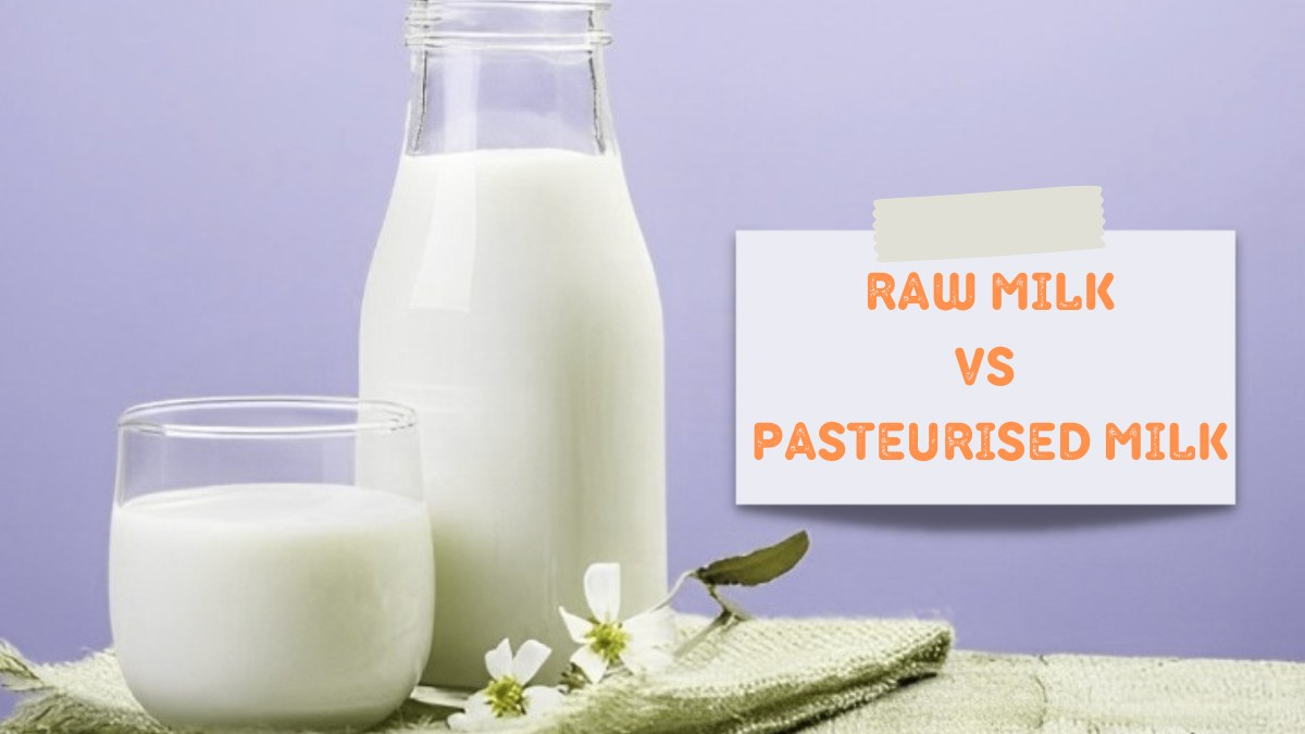 Raw Milk vs. Pasteurized Milk: Which is Safer and Why | by abha bhatt | Medium