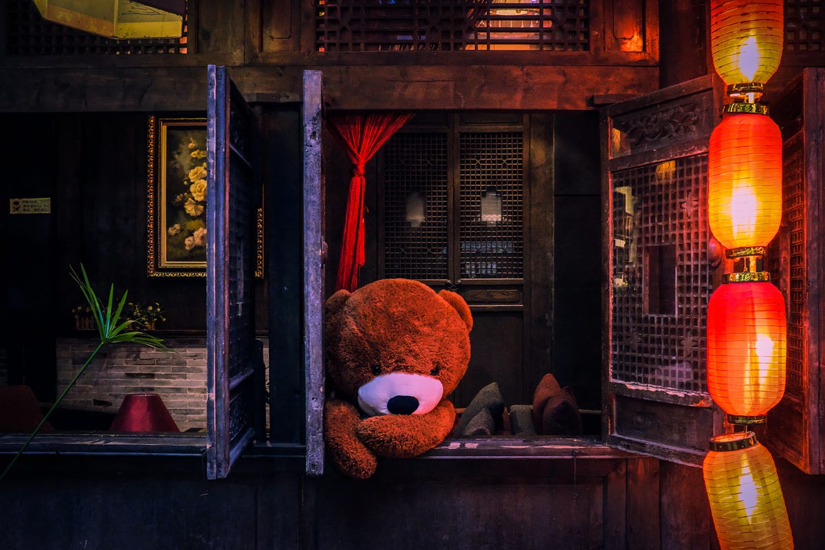 Teddy Bear Of Evolution. A personal essay. | by Tas (they/them ...
