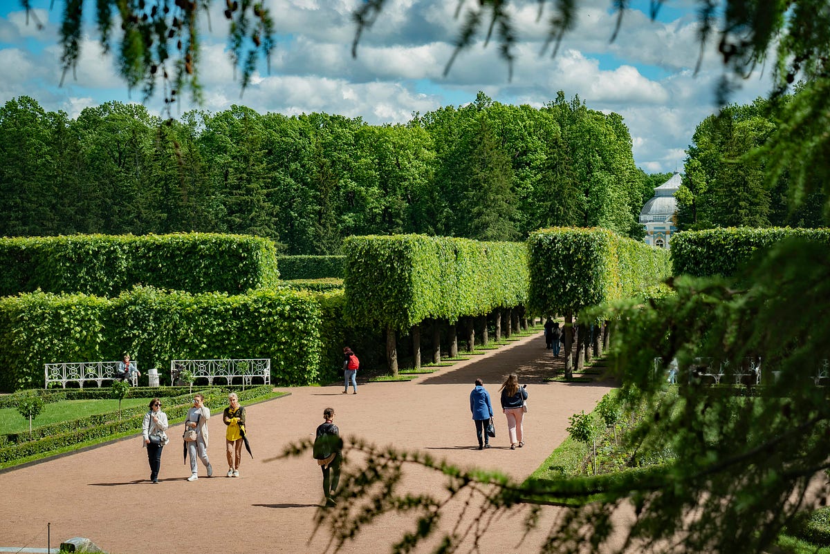 Mastering Prototypal Inheritance with the ‘new’ Operator in JavaScript | by Max N | Level Up Coding