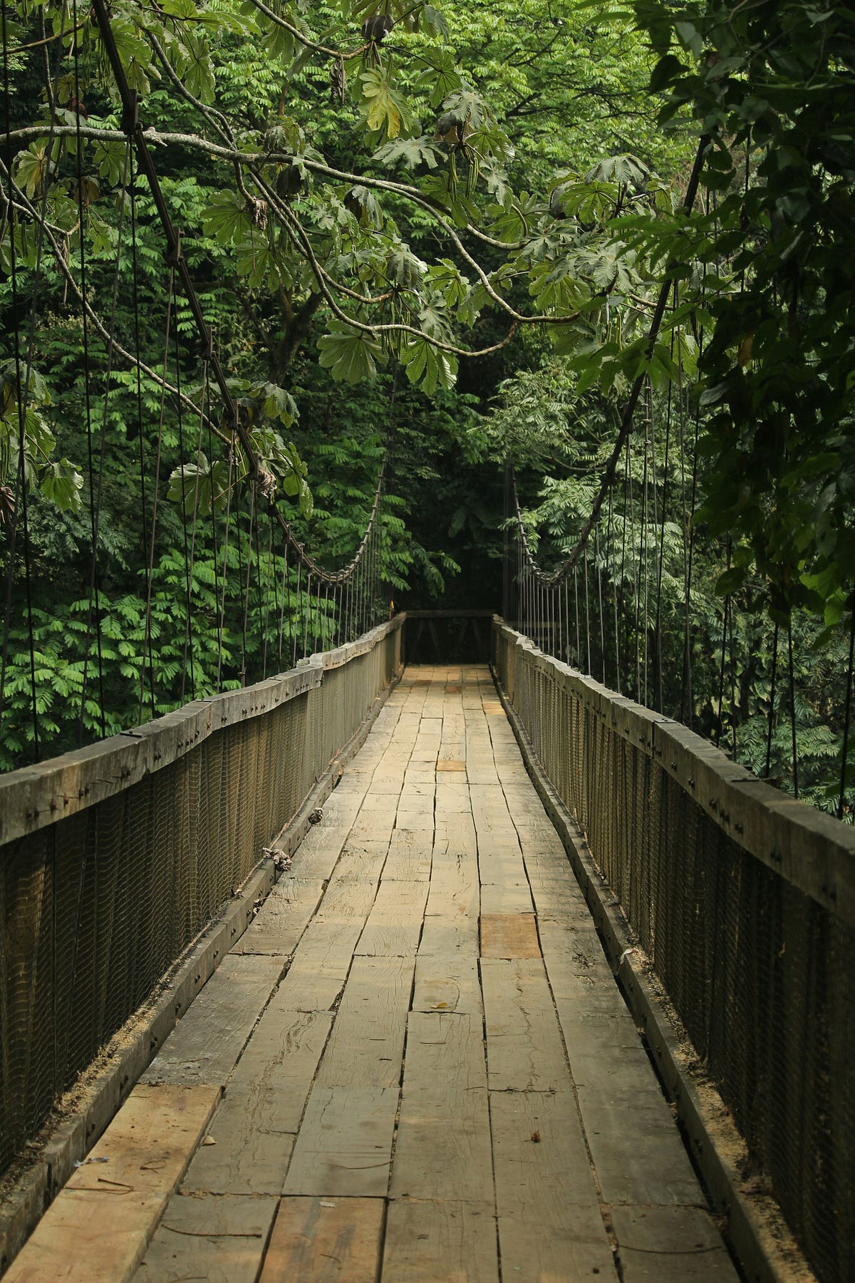 How to Build Your French Listening Skills Right From Day 1 (Before You ...