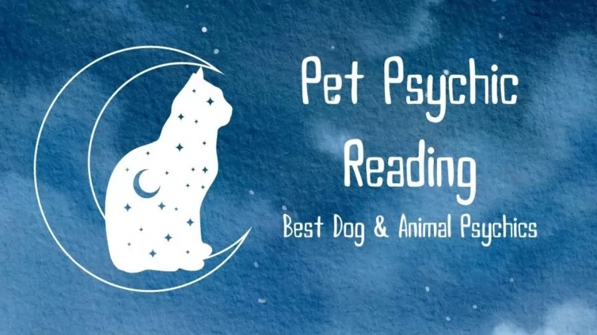 Pet Psychic Reading: Best Dog & Pet Psychics | by Natasha Psychic | Jul ...