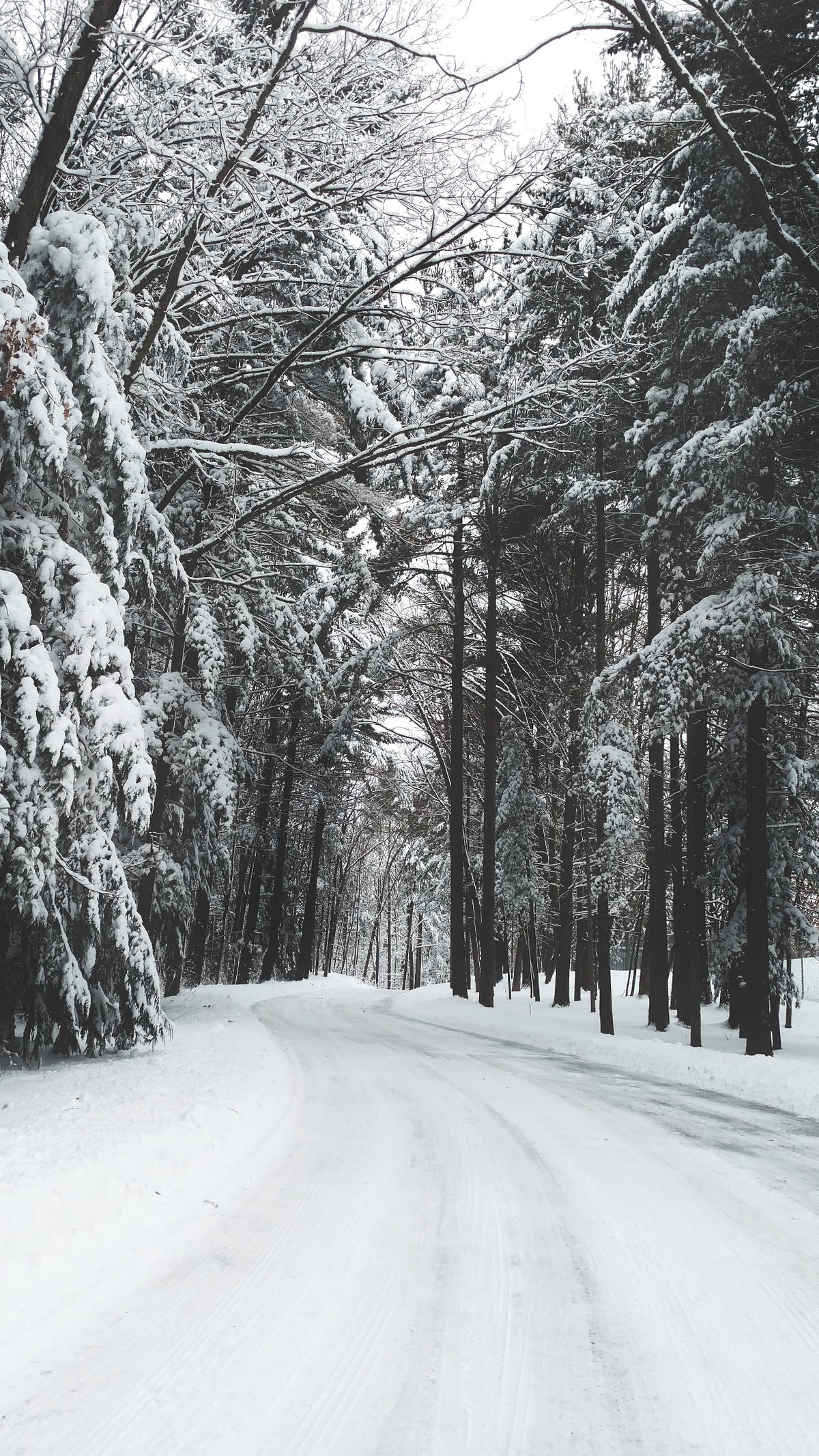 Snowflakes. In response to Inktober prompt | by Paula Dotson Frew | Medium