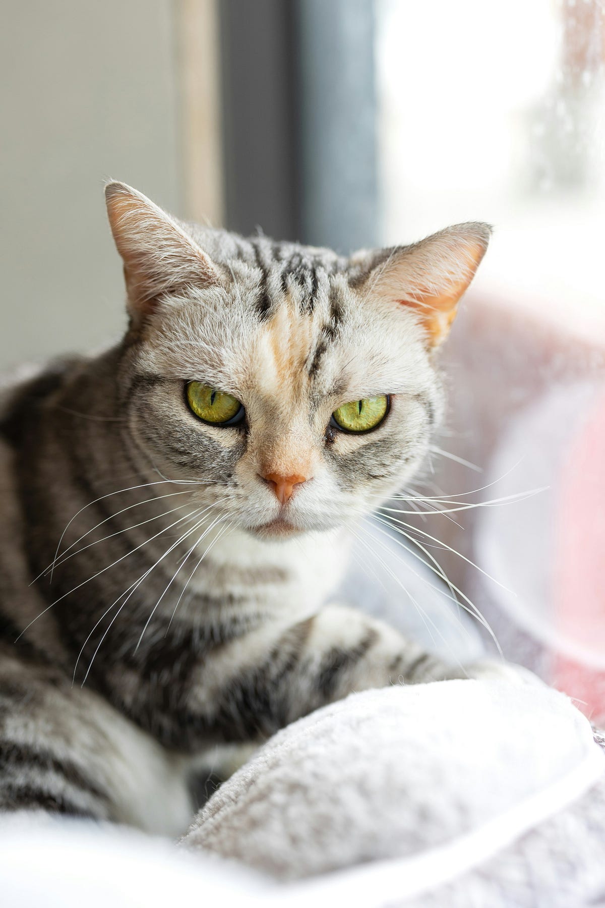 Does Being Grumpy Feel Good?. Sam is a very frustrated man. He spends ...
