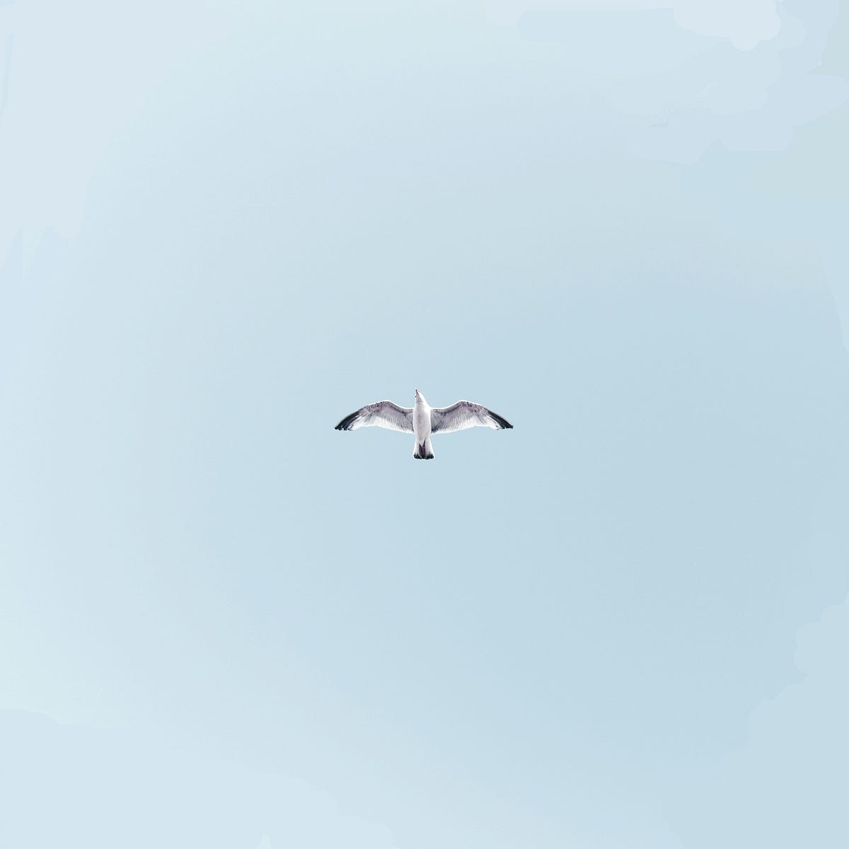 I’m Not Chasing the A-Game Anymore — and I’m Happier for It | by Stefen Riyanto | Apr, 2025 | Medium