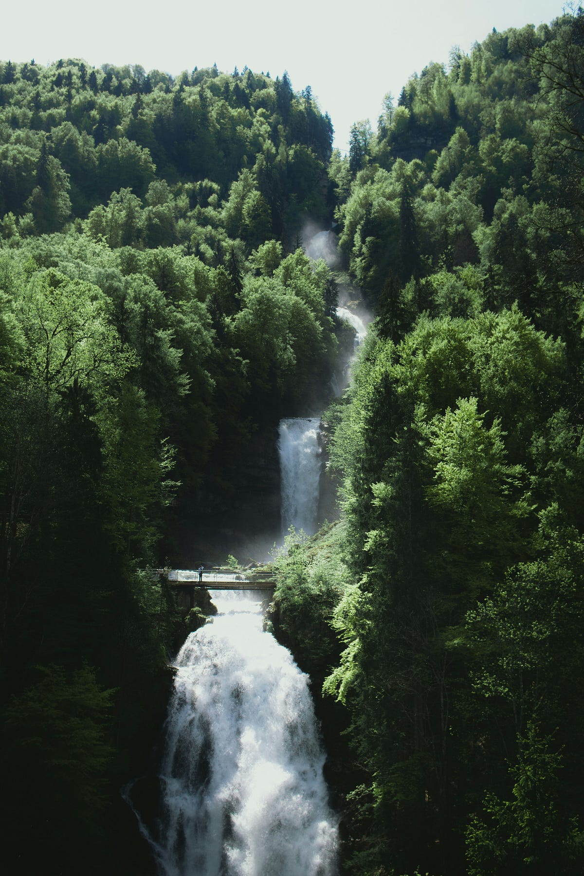 Uphill Battle to The Promised Land | by Willow Innershire Sterrick | Medium