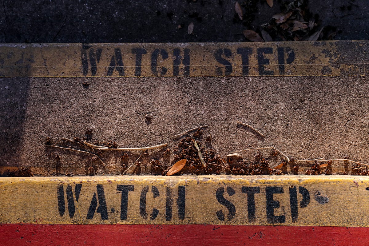 Do Things Carefully. Careful attention increases quality… | by Aaron ...