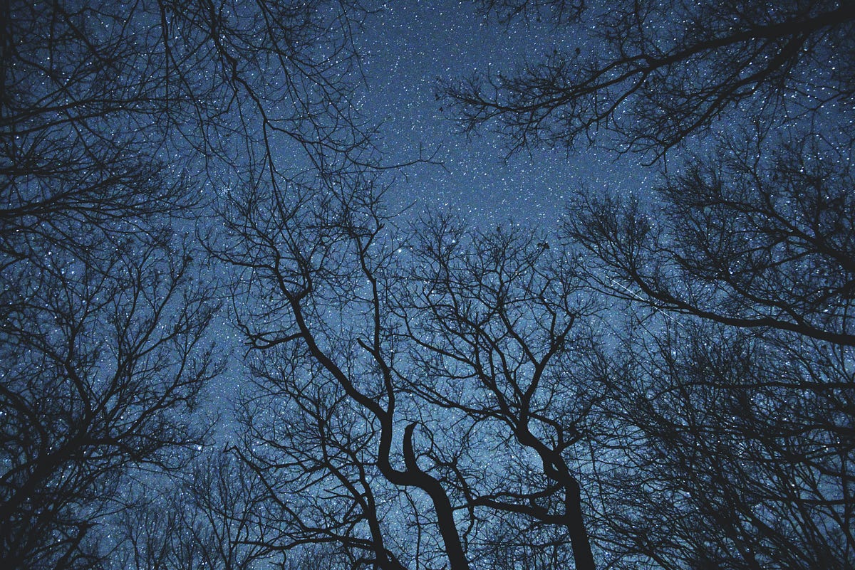 the night sky - Aswathi Ashok - Medium