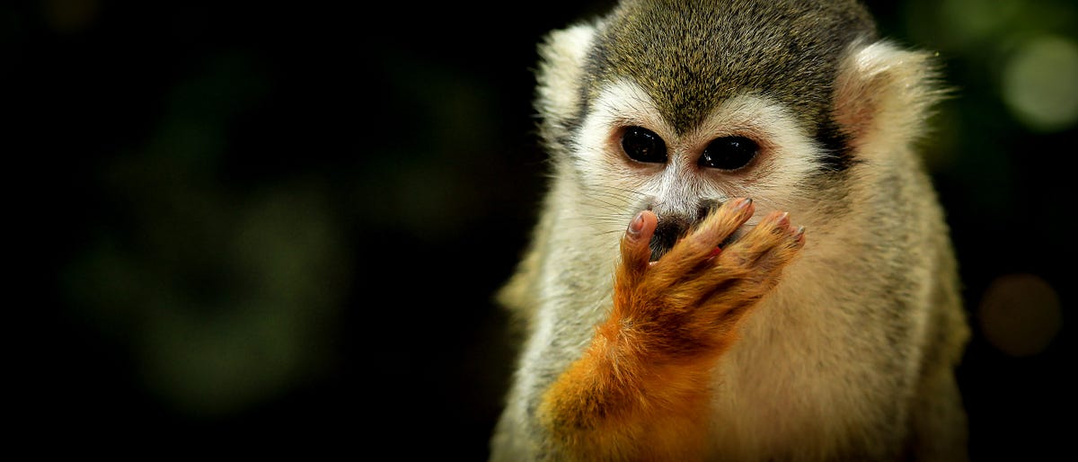 Using fetch to update the database and DOM without refreshing the page ...