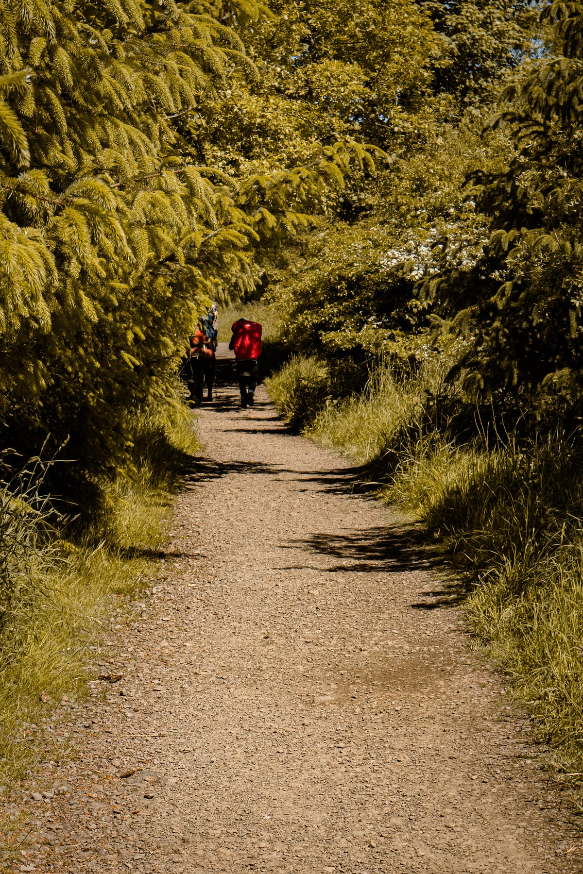 Embracing Aydın’s Natural Beauty. Explore Aydın’s Scenic Marvels: Serene… | by Furkan Samut | Medium