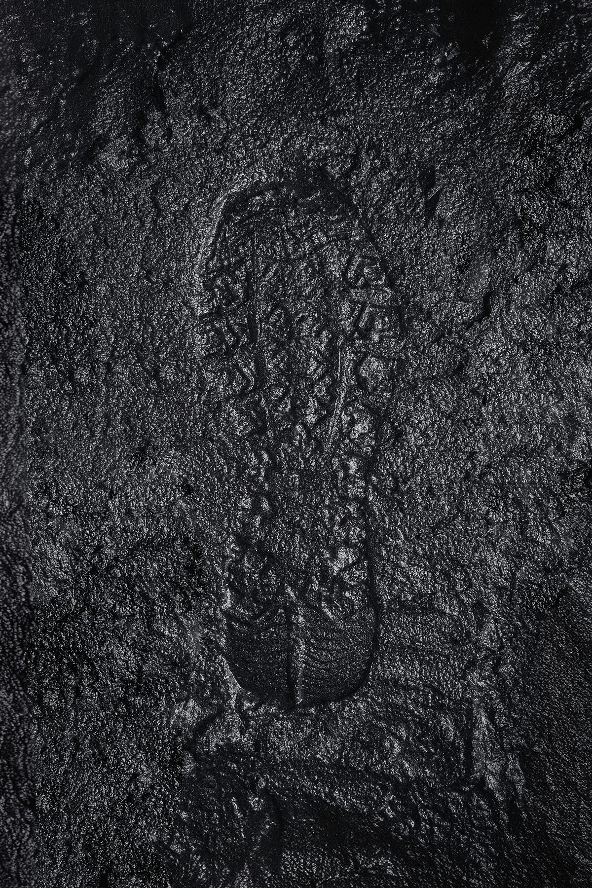 The First Python Developer. The Birth of a Revolutionary Language | by ...