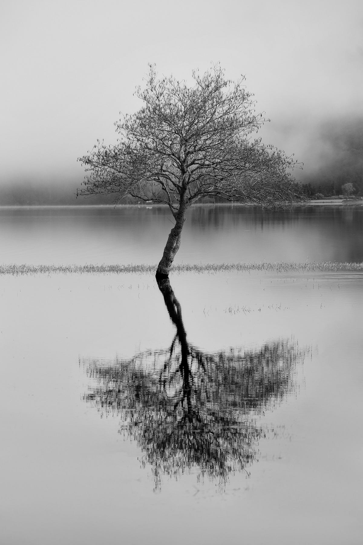 Letters to My Son: Mirrors That Lie | by Cecilio Blanco Ledesma | A ...
