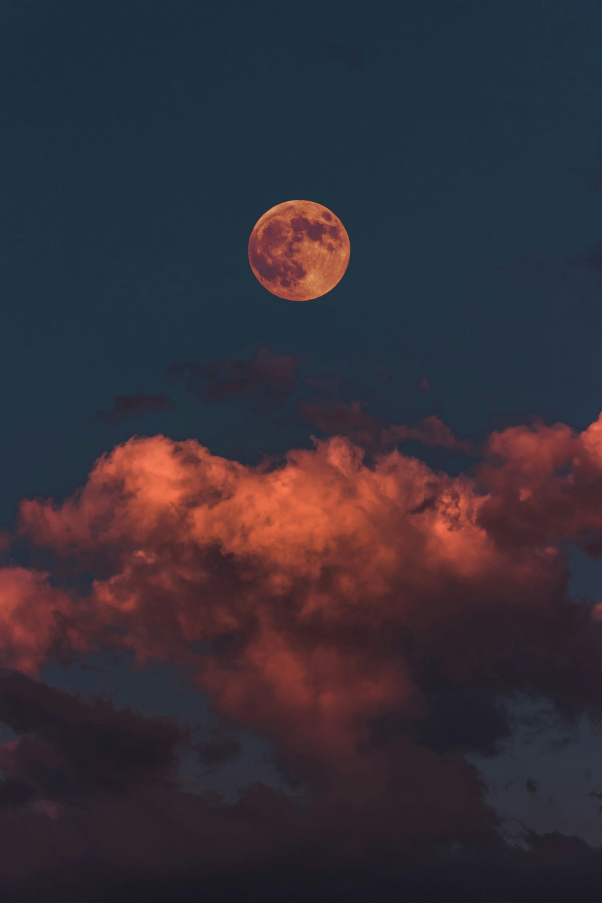Under A Sky That Never Chose Us - Nala - Medium
