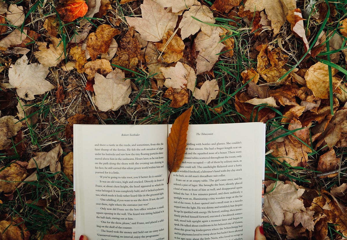 What does reading good books teach you about storytelling? | by ...