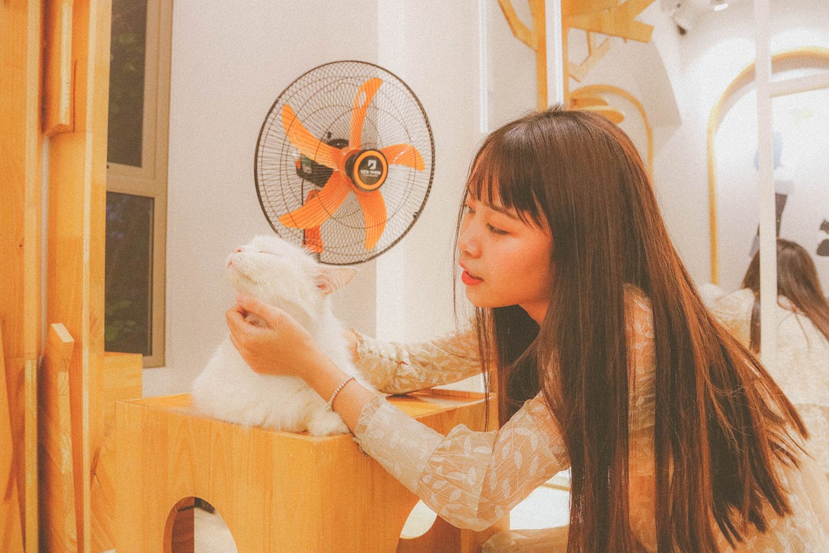 Build a Very Cool CSS Brand Electric Fan | by omgzui | JavaScript in ...