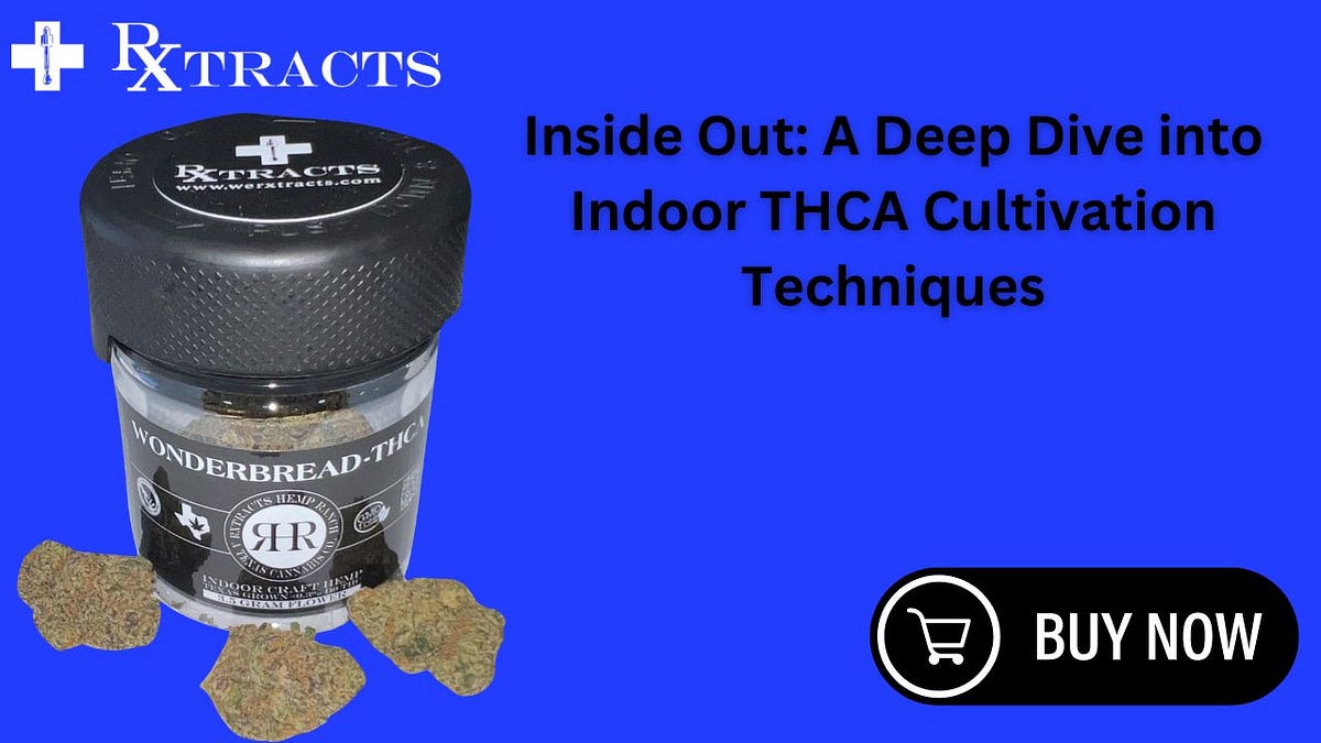 Inside Out: A Deep Dive into Indoor THCA Cultivation Techniques | by Sa ...