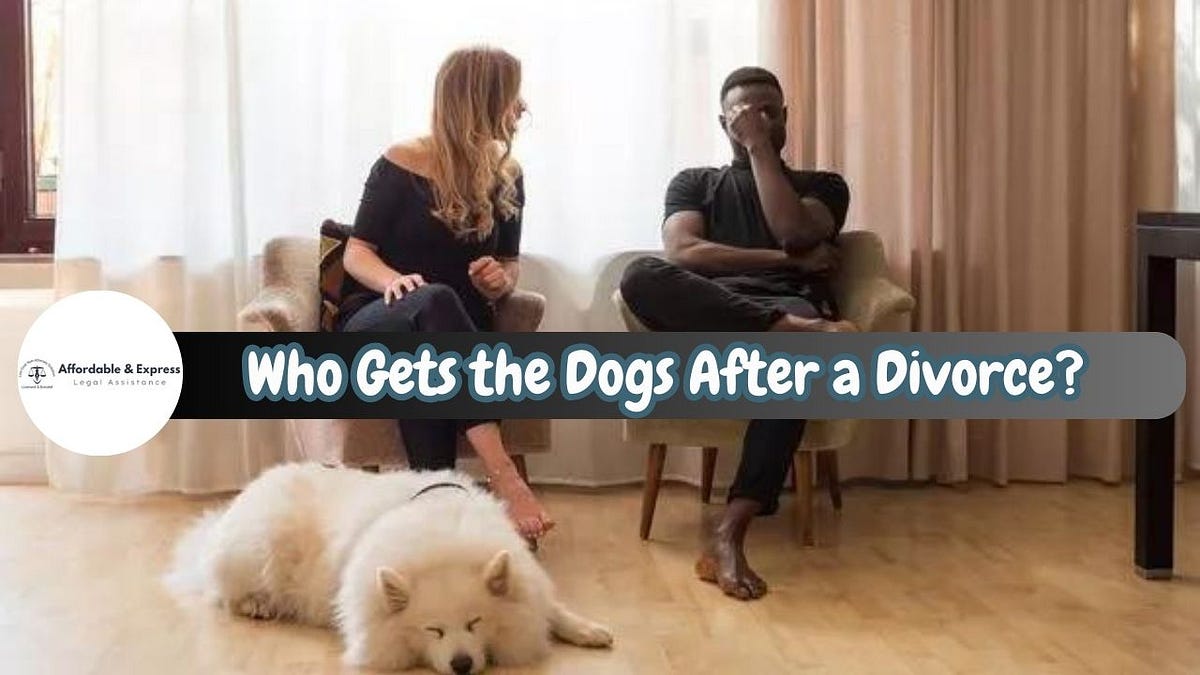 Who Gets the Dogs After a Divorce? | by Affordable & Express Legal ...