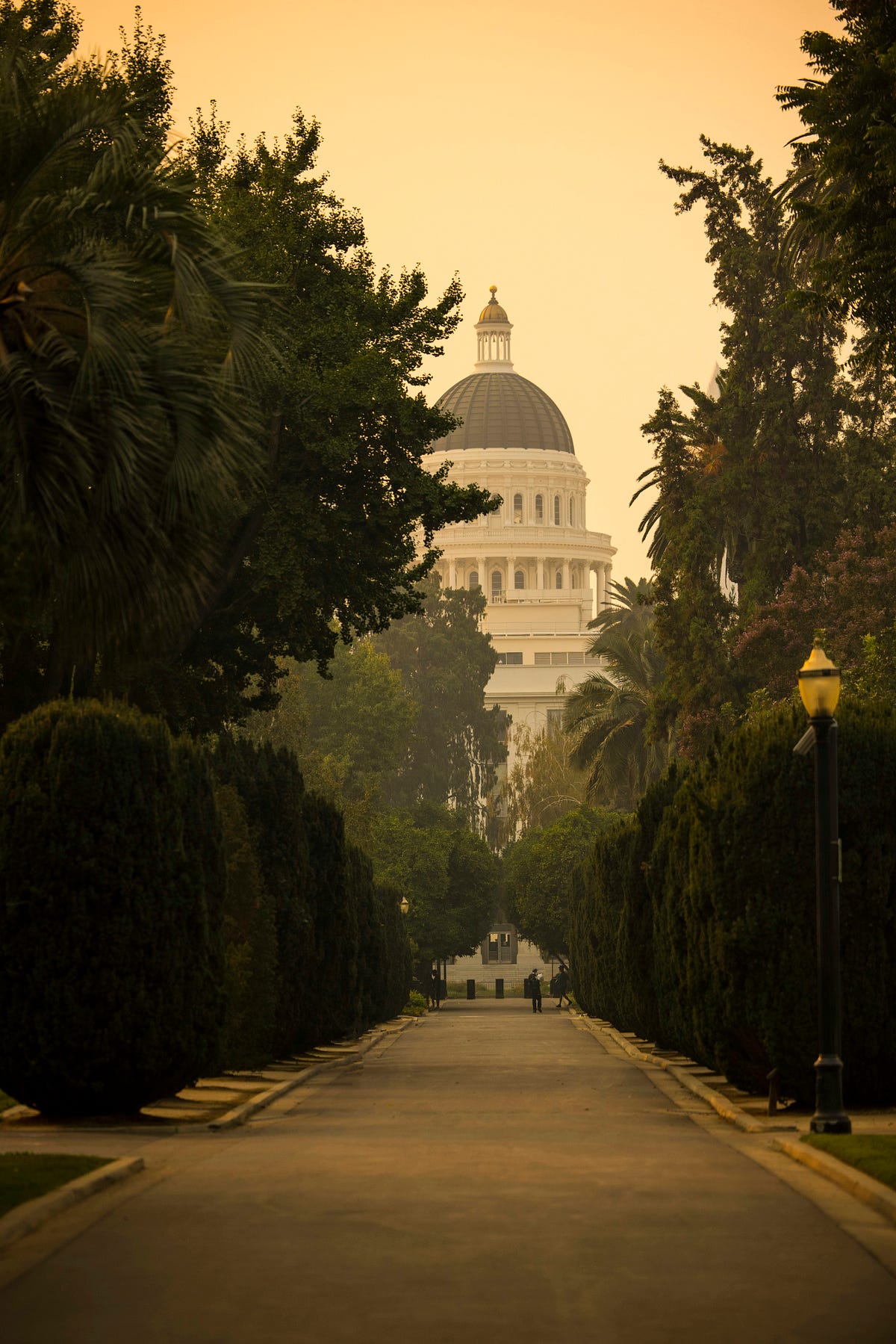 Understanding the Role of Policy Committees in the Legislative Process ...