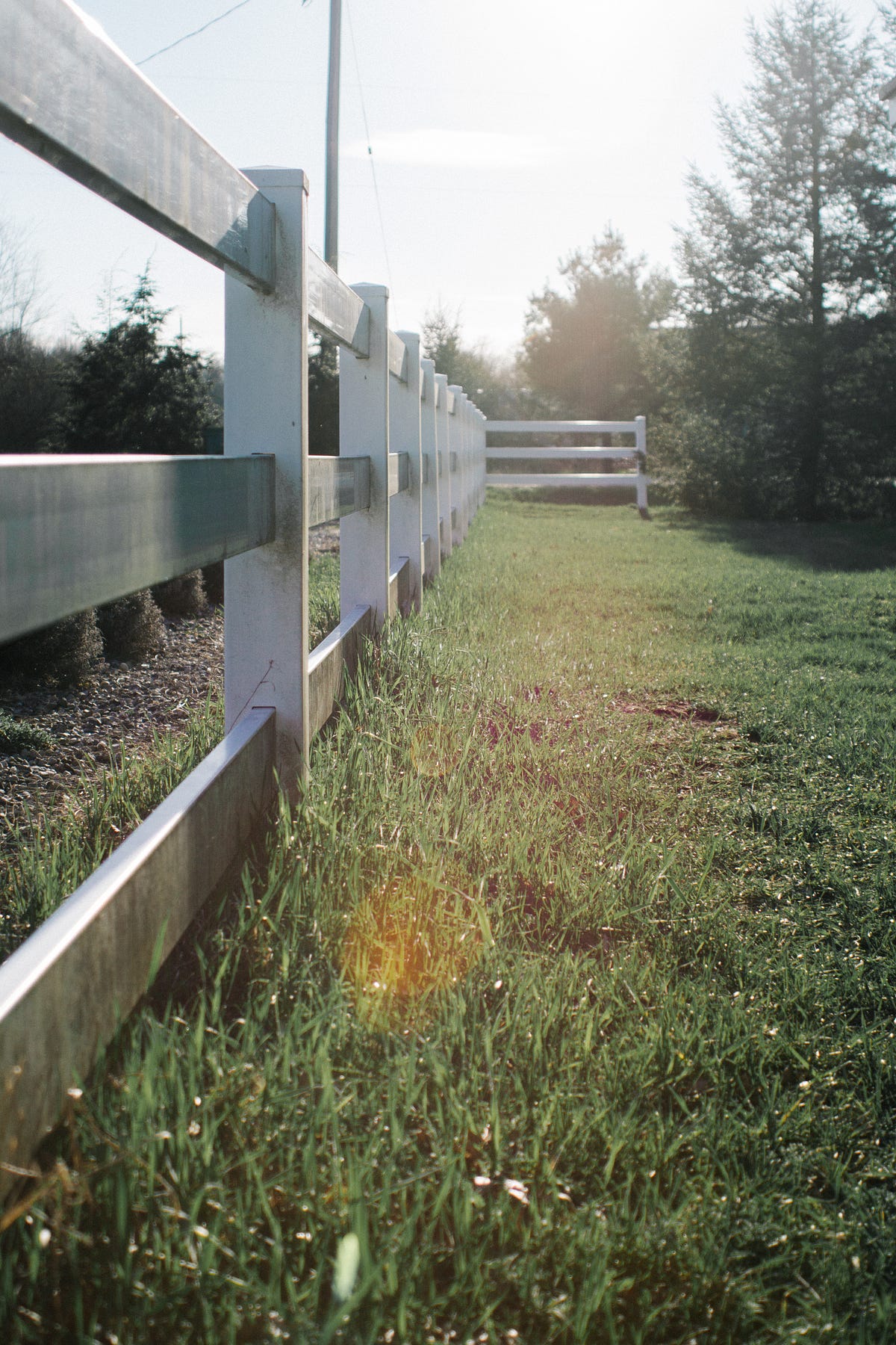 Good Fences Make Good Neighbors. Why playing fair matters | by Susan ...
