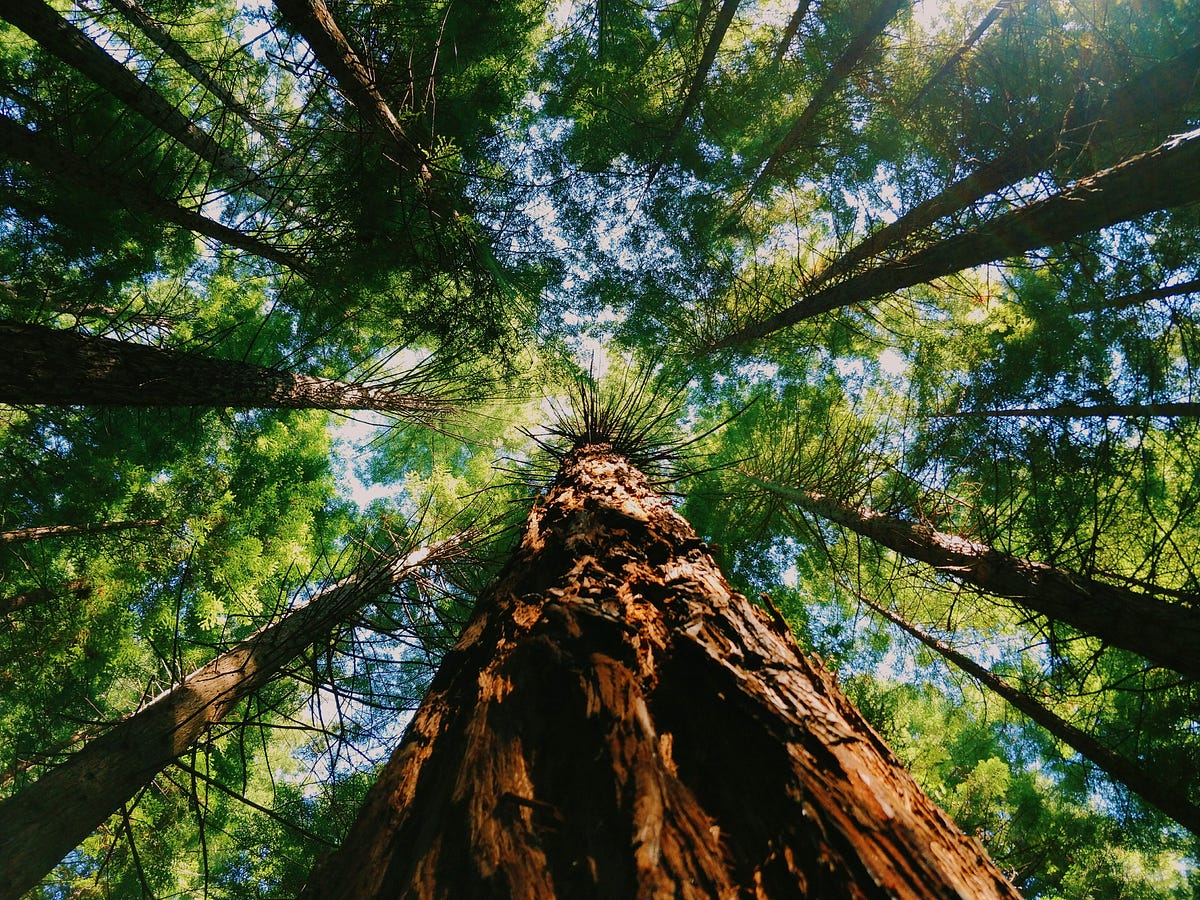 Java Bundles For The Win ! — An Introduction To OSGI | by Rashmin ...