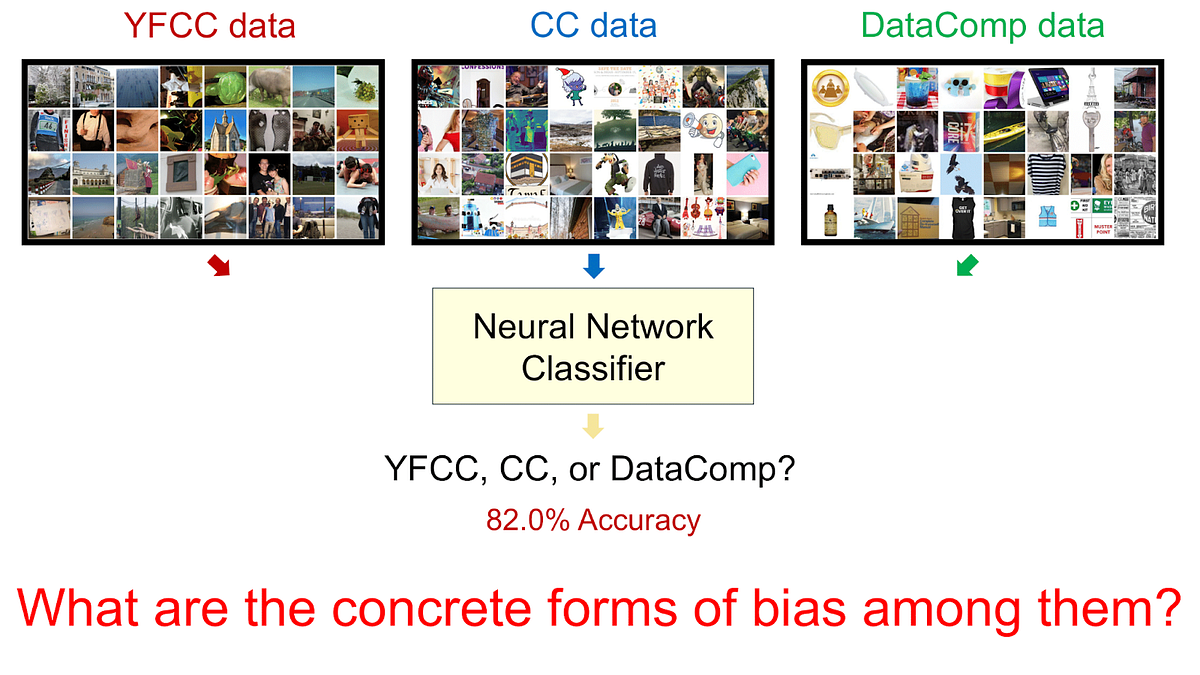 More Than Meets the Eye: How Transformations Reveal the Hidden Biases ...