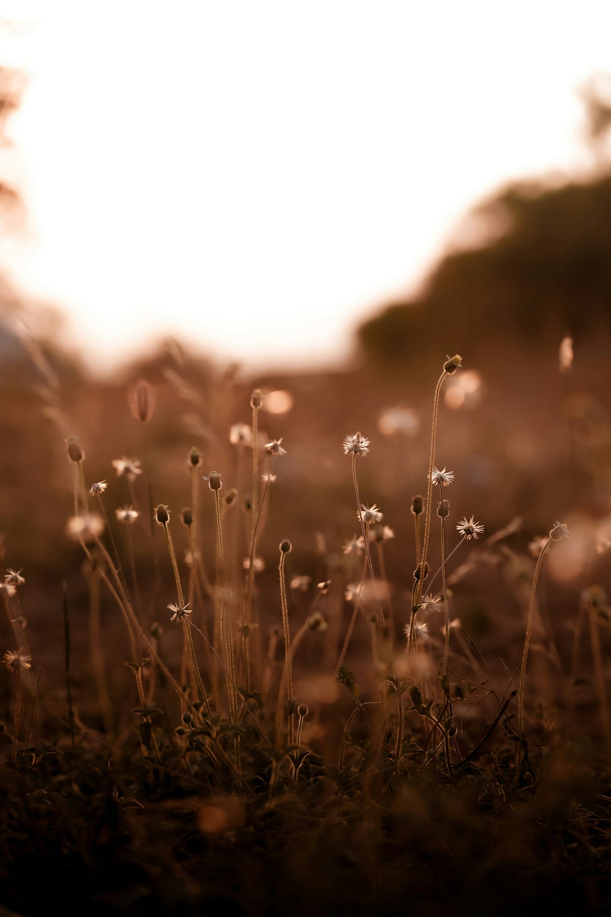 Understanding Life’s Challenges: Embracing Hardships in a Not-So-Sunny ...