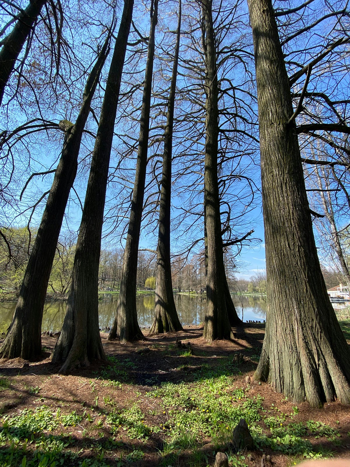 LEANN : Smallest RAG Vector DB. How to use Leann DB for RAG? | by Mehul Gupta | Data Science in ...