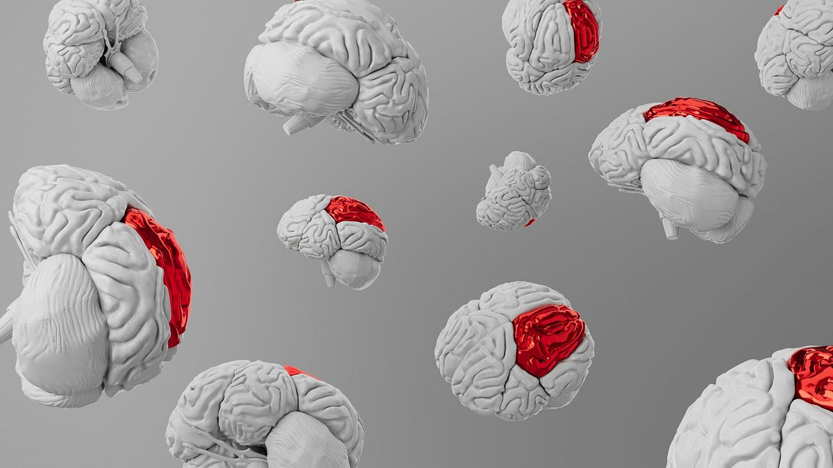 Your Thoughts are Physically Changing Your Brain | by Leilany Torres ...