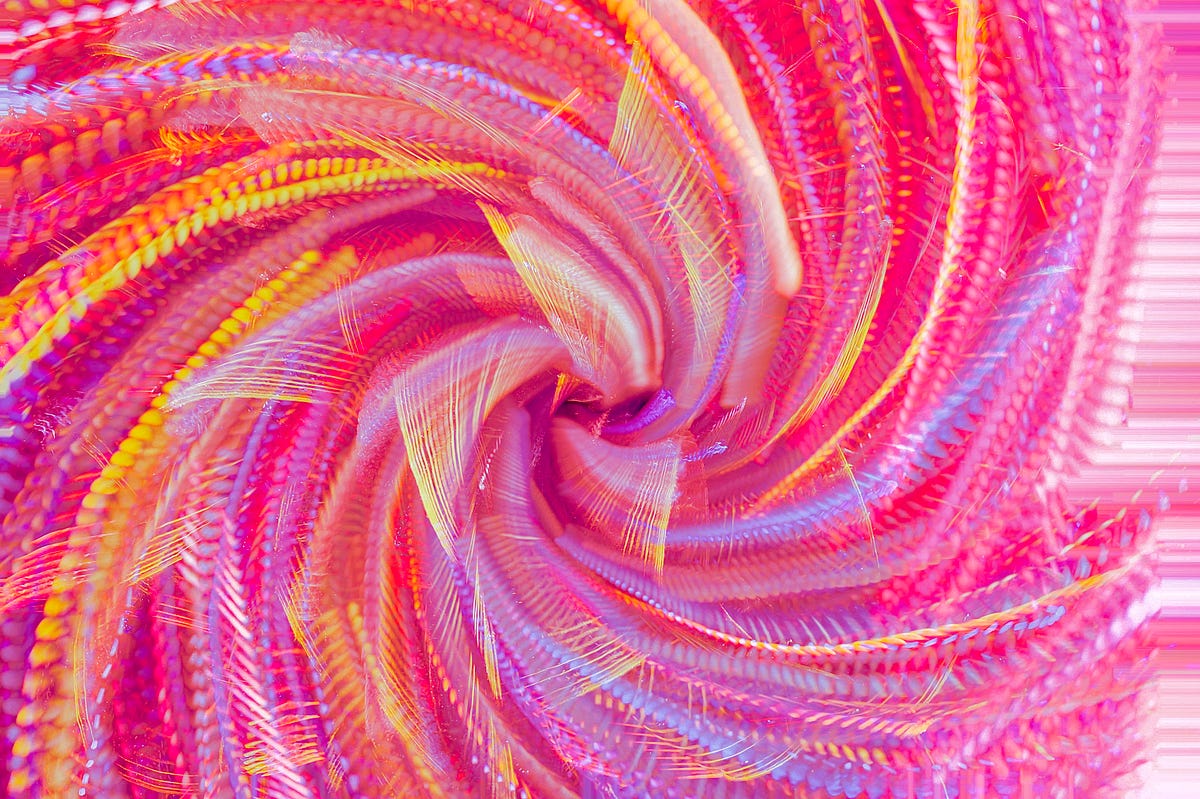 Learning To Write In Recursive An Excerpt From A Common Sense Guide To By The Pragmatic 2211