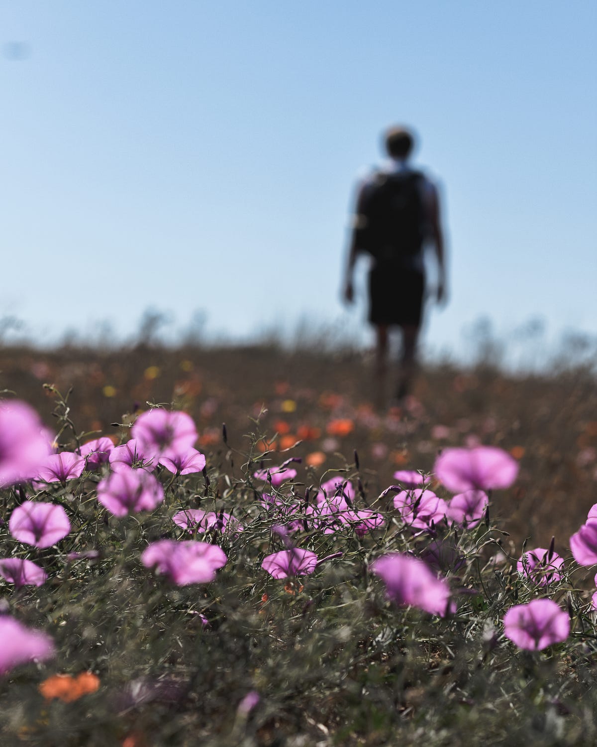 Don’t Call Me The Fool. A Poem | by Elizabeth Williamson | Loose Words ...