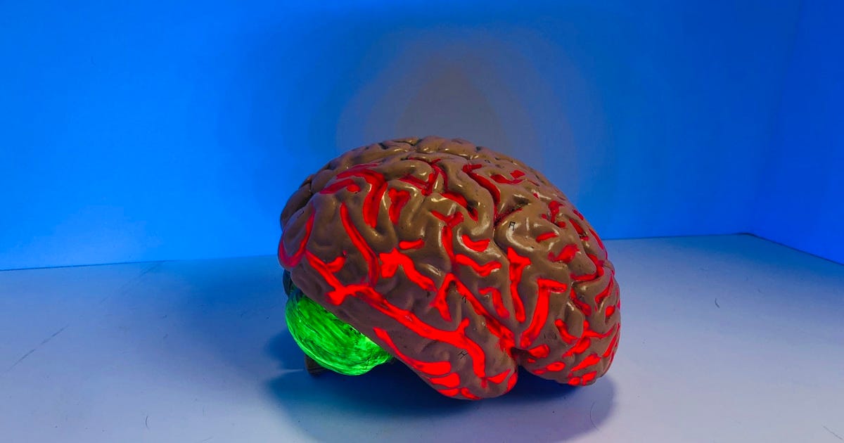 What’s what in the Brain? : Basic Structures and Functions | Ntsako ...