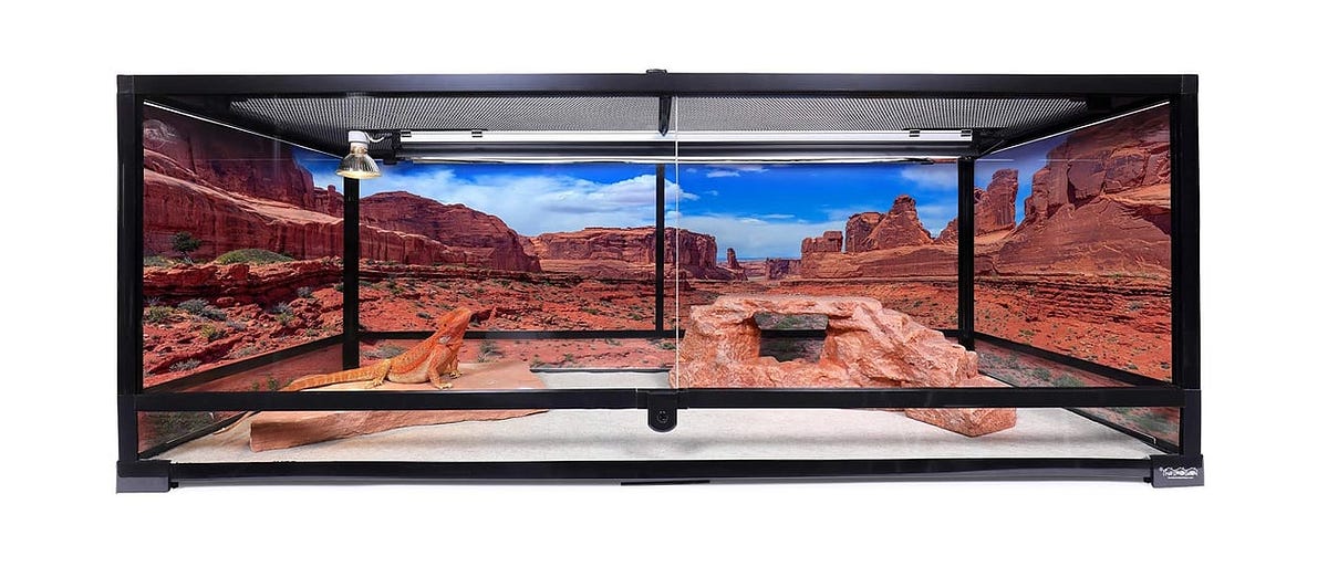 Snake Tanks | by Katherine Cruz | Jun, 2024 | Medium