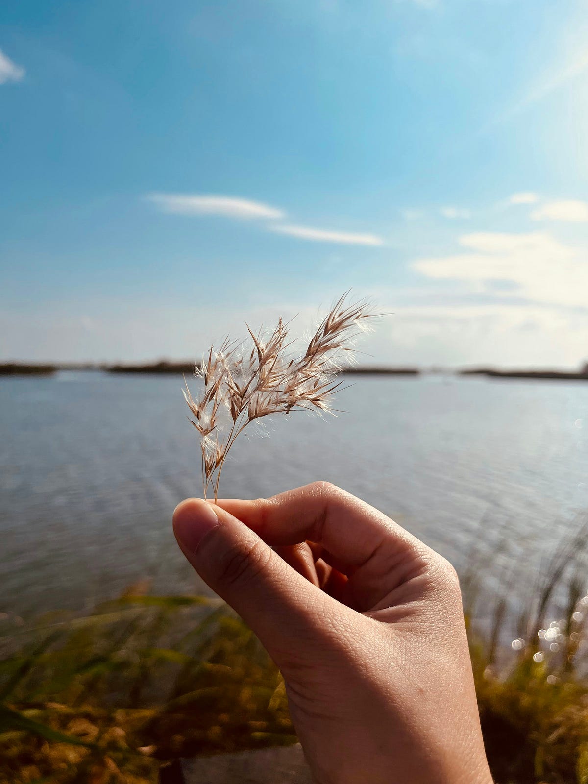 I live in a World of Oscillation. I am the breeze. | by David Rudder ...