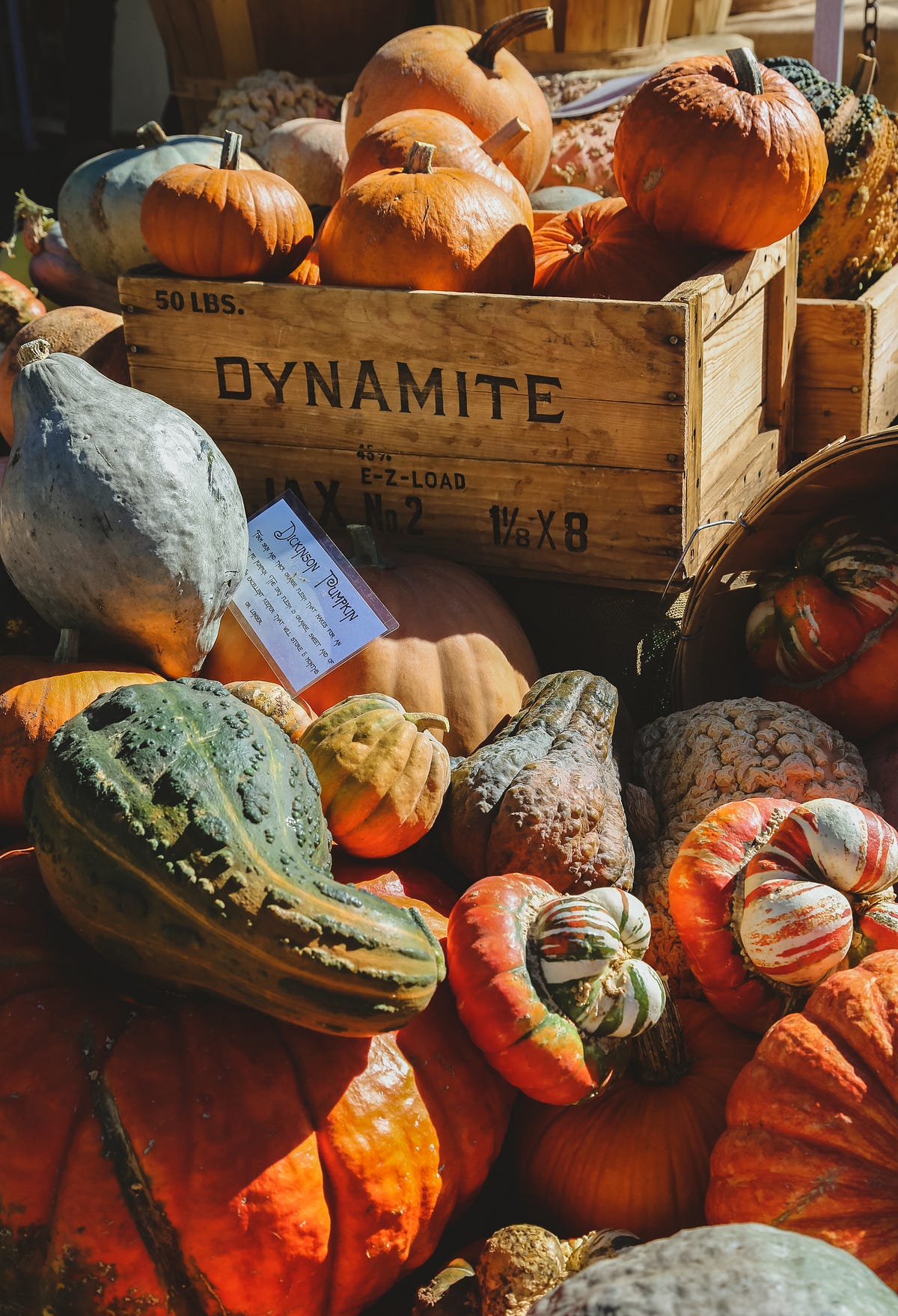 Cabbage Patch Water Wars. An unexpected neighbourhood foretaste… | by ...