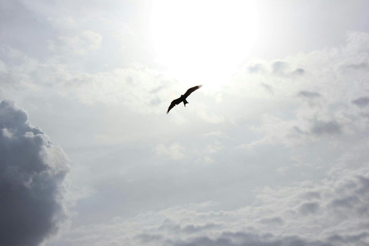 Awakening to Wise Choices: How Conscious Awareness Ends the Cycle of ...