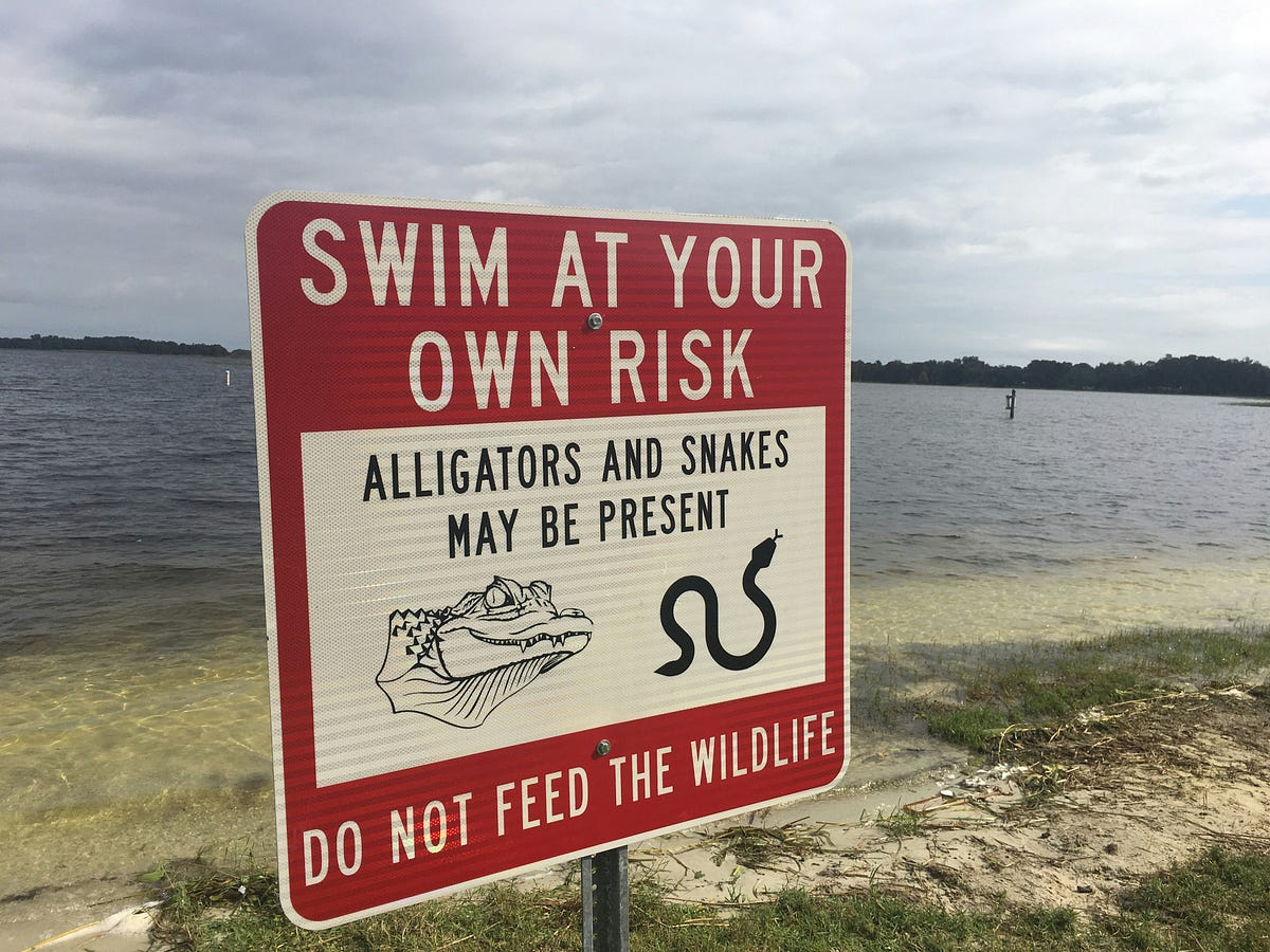 From Gator Memes to Local Watchdog: How @FloridaMan Uses Instagram to ...