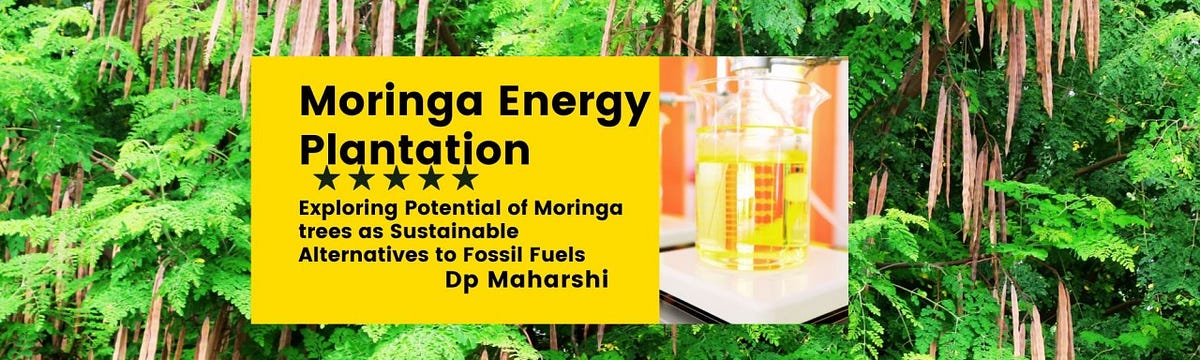 Transforming Moringa into Clean Energy: From Soil to Sustainable Fuels ...