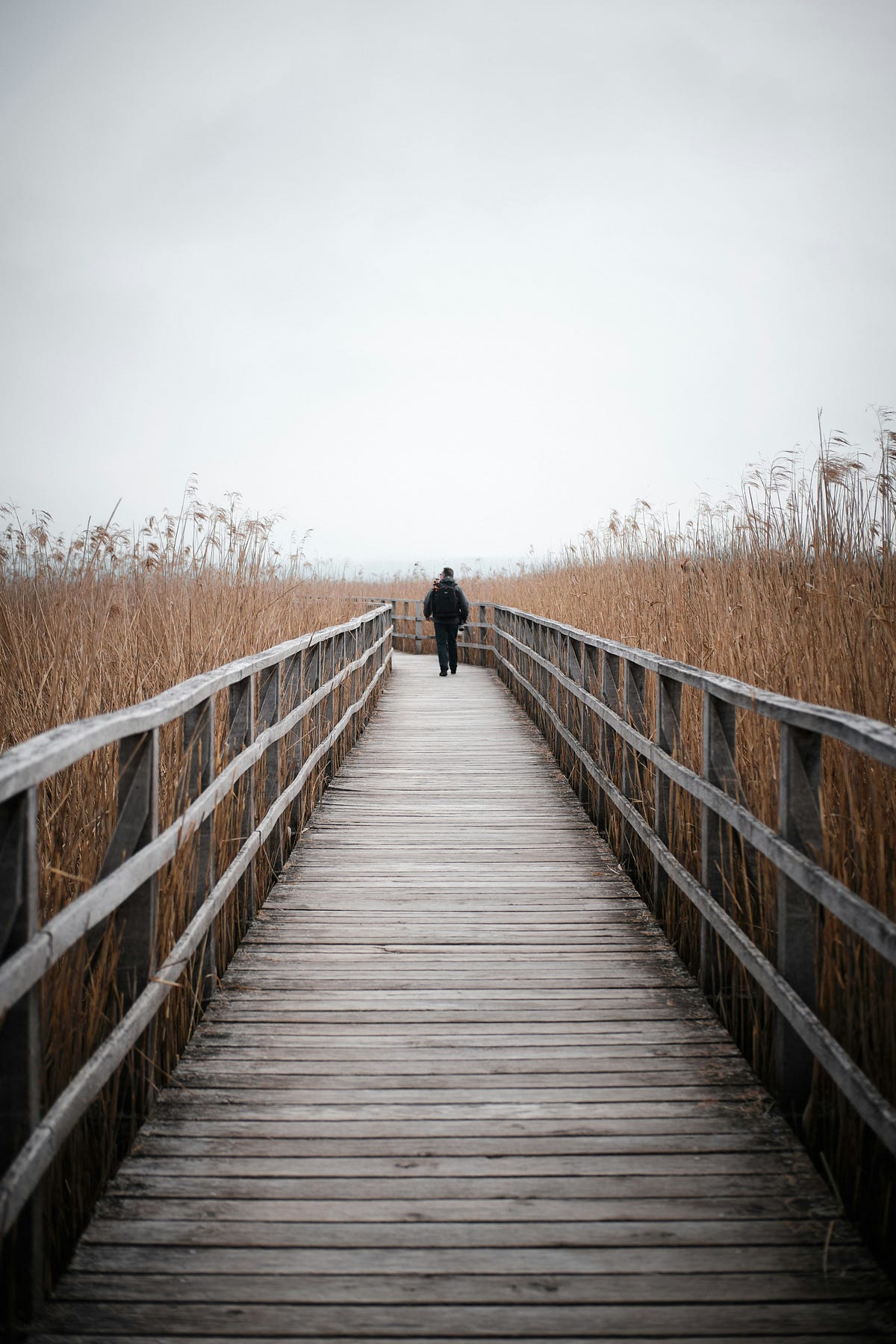 Stop Being a Shut-In: It’s Bad for You! | by Xiexiange | Medium