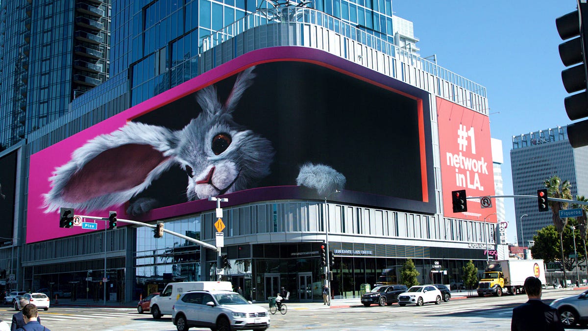 Diving into the 3D Wonderland: The Anamorphic Rabbit Adventure | by ...