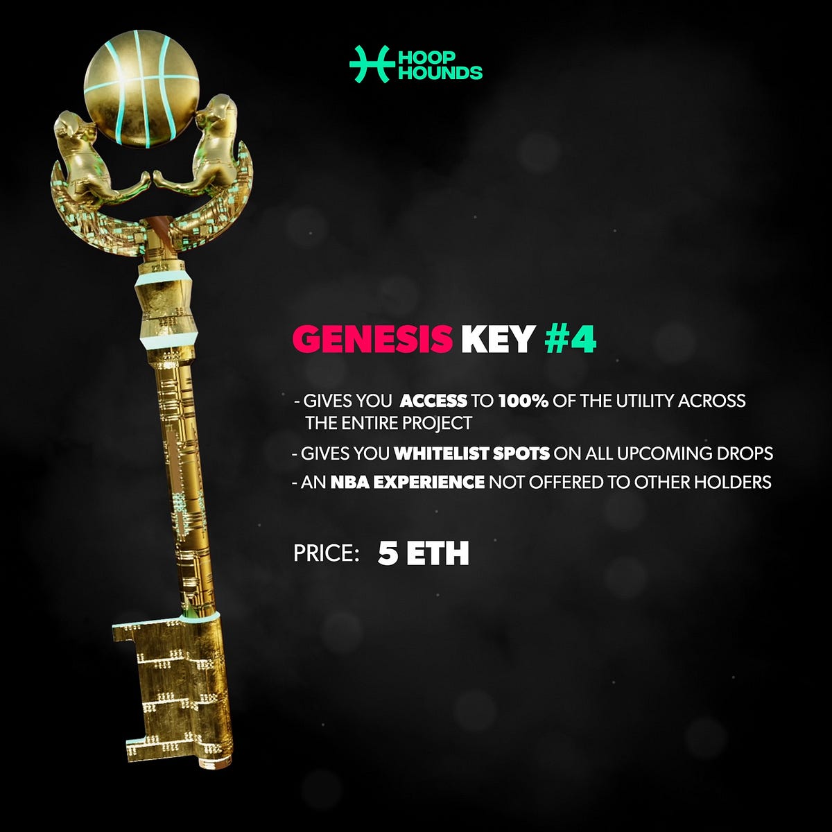 Introducing our FOUR one-of-one Genesis Keys… | by Hoop Hounds | Medium
