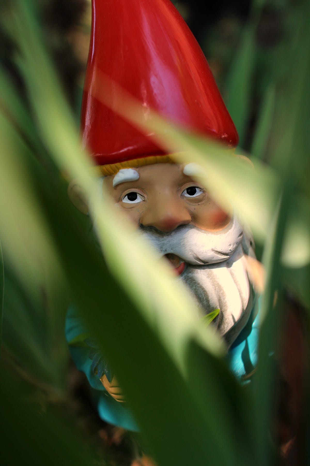 When Gnomes Attack. A longish short story about a gnome… | by Kristin ...