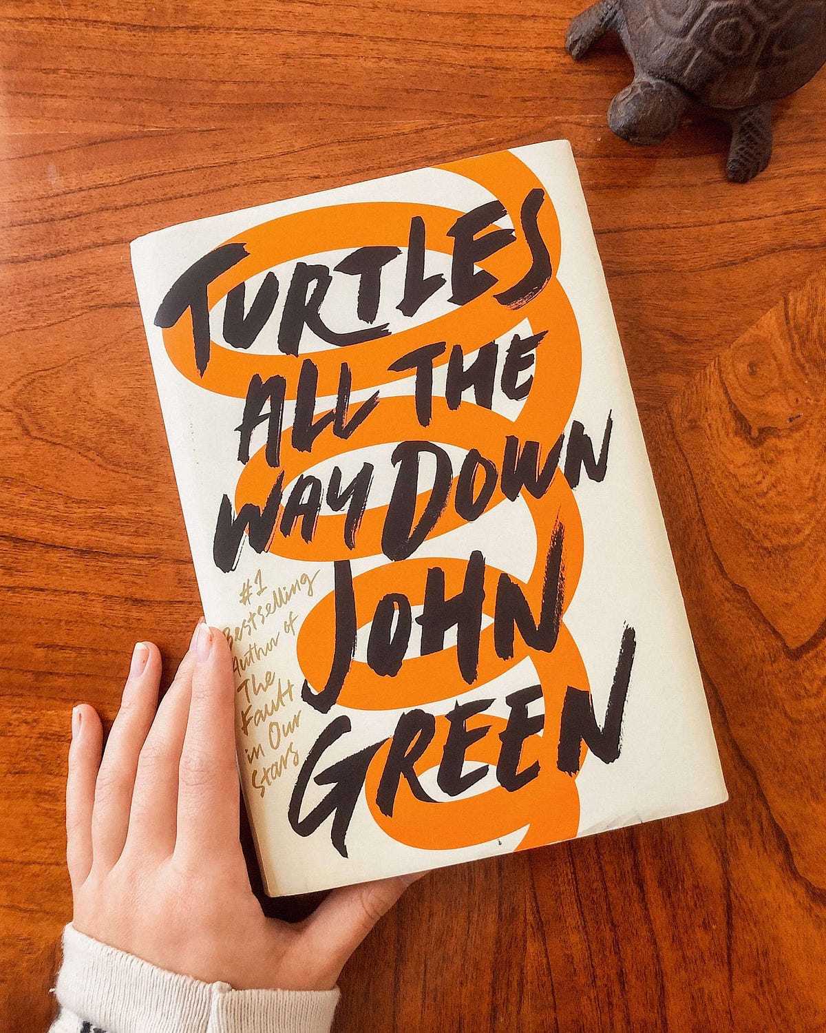 A review of TURTLES ALL THE WAY DOWN by JOHN GREEN | by Umer Dad | Medium