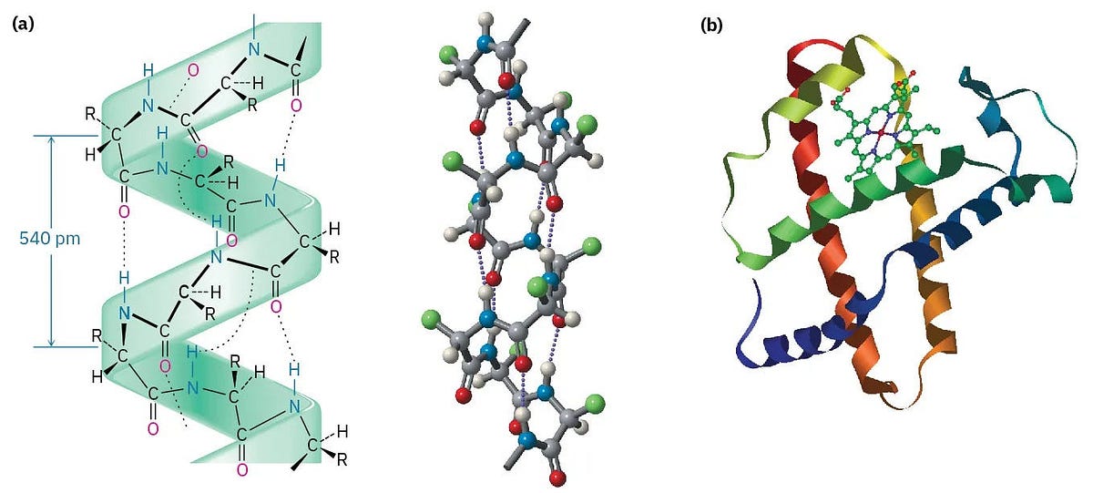 protPy — a Python package for protein physicochemical, biochemical and ...